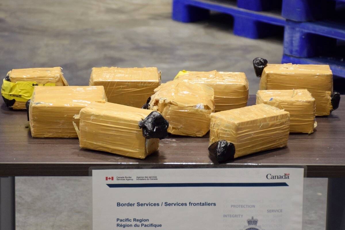 B.C. opium seizure largest in Canada Border Service Agency’s history ...