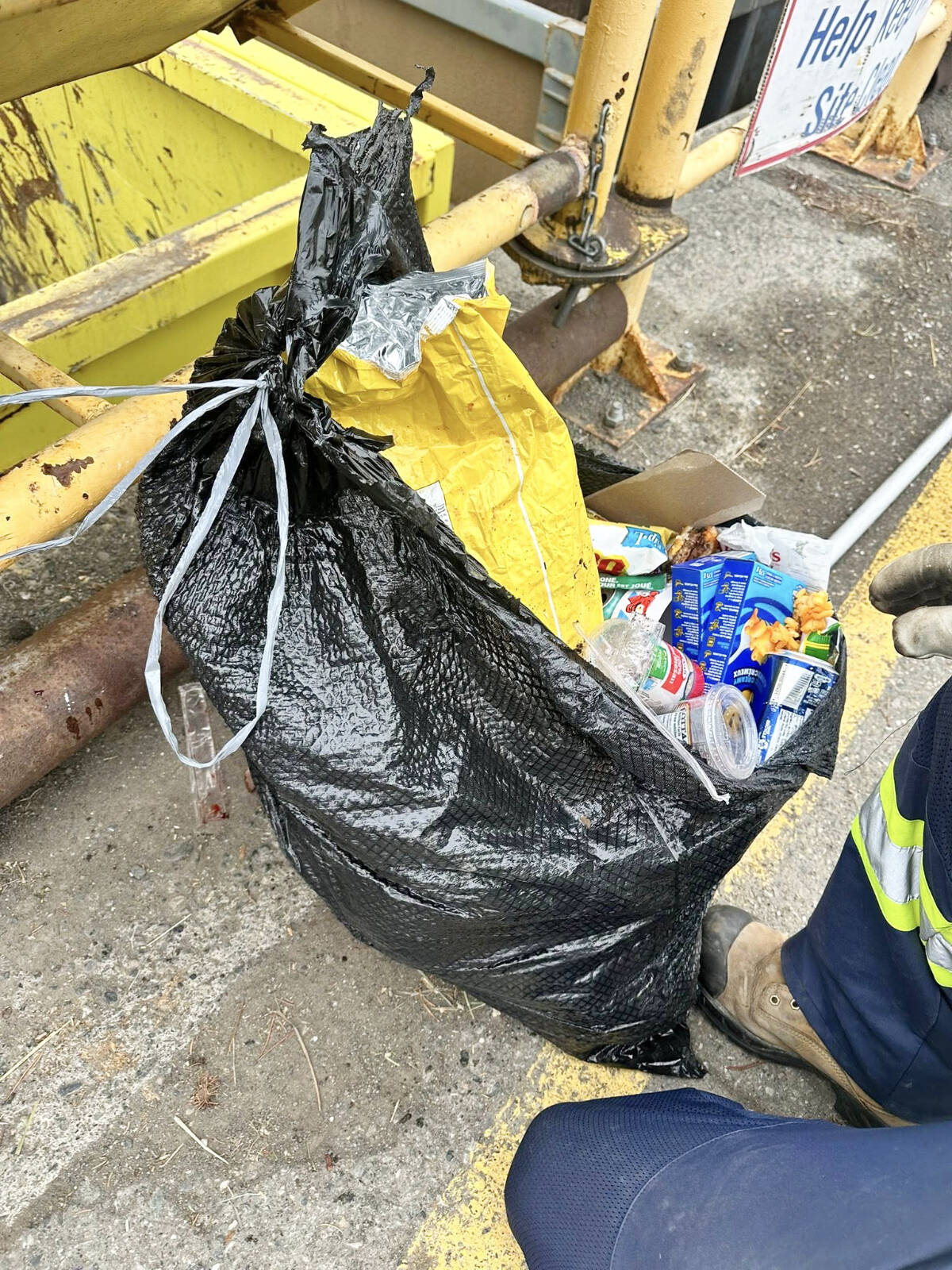 Dog found abandoned in garbage at Lone Butte Transfer Station | Victoria News