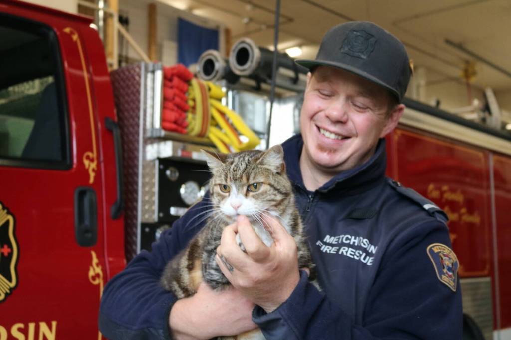 Serial killers to flyin’ dogs: Greater Victoria’s wild animal stories ...