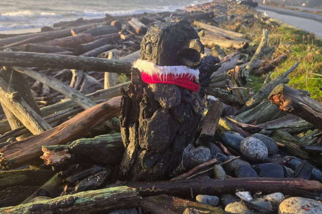 Artist’s lament: Raven sculpture and its baby destroyed at Esquimalt ...